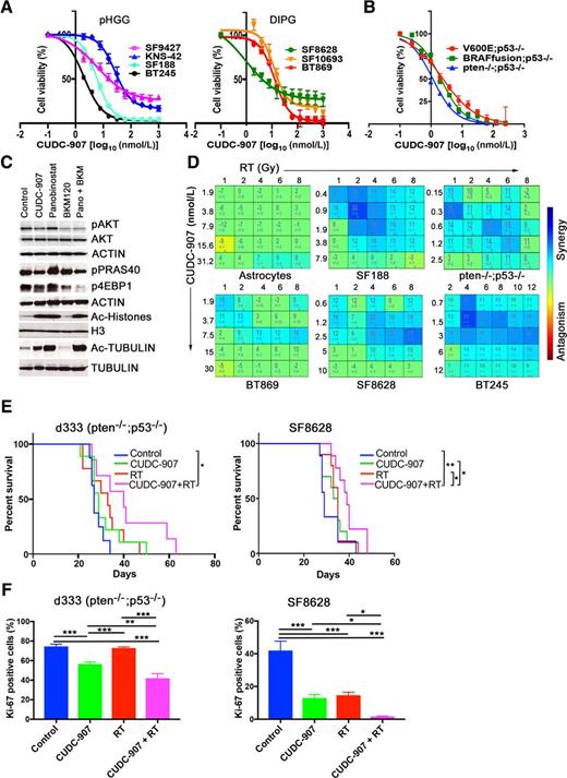 Dual HDAC and PI3K Inhibition Abrogates NFκB- and FOXM1-Mediated DNA ...