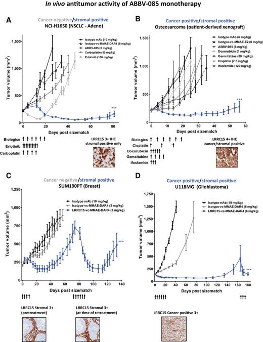 LRRC15 Is a Novel Mesenchymal Protein and Stromal Target for Antibody ...