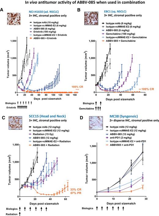 LRRC15 Is a Novel Mesenchymal Protein and Stromal Target for Antibody ...