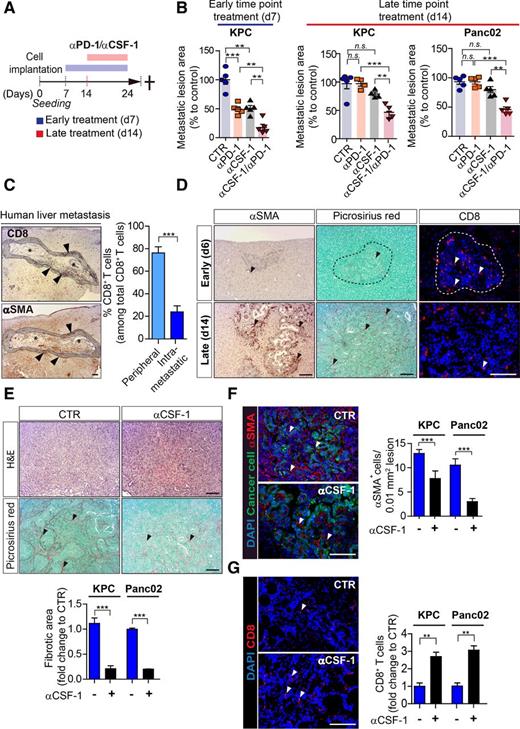 Macrophage-Derived Granulin Drives Resistance to Immune Checkpoint ...