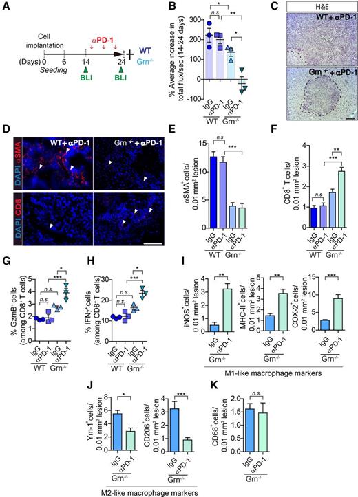 Macrophage-Derived Granulin Drives Resistance to Immune Checkpoint ...