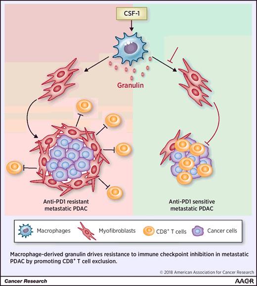 Macrophage-Derived Granulin Drives Resistance to Immune Checkpoint ...
