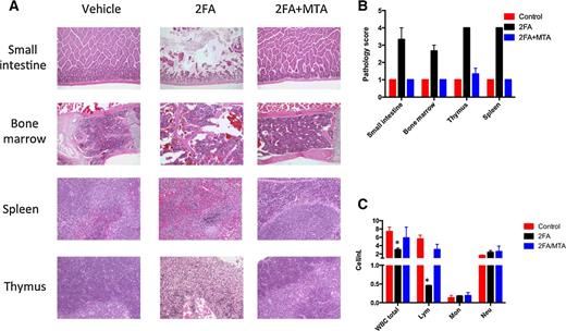 Specific Targeting of MTAP-Deleted Tumors with a Combination of 2 ...