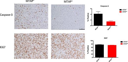 Specific Targeting of MTAP-Deleted Tumors with a Combination of 2 ...