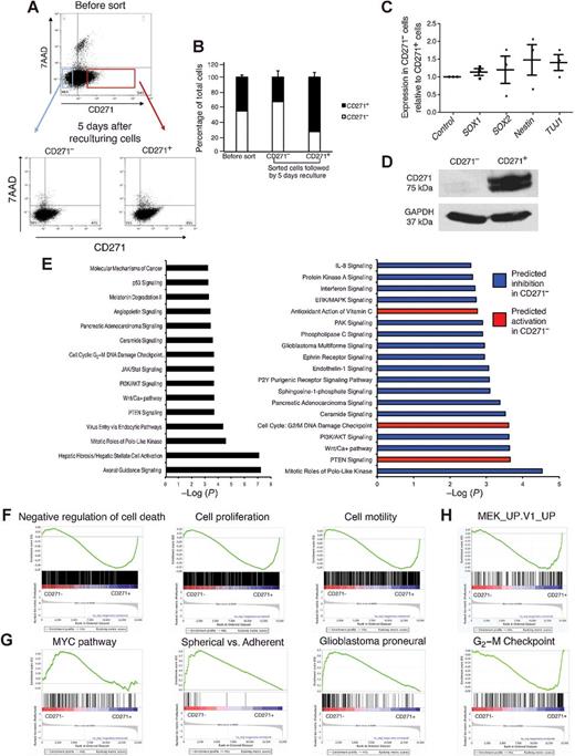 CD271+ Cells Are Diagnostic and Prognostic and Exhibit Elevated MAPK ...