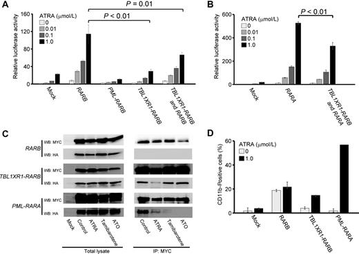 Recurrent RARB Translocations in Acute Promyelocytic Leukemia Lacking ...