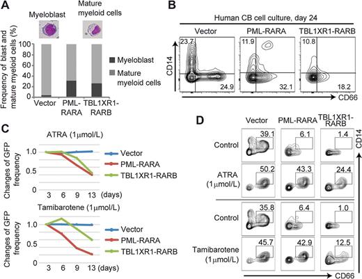 Recurrent RARB Translocations in Acute Promyelocytic Leukemia Lacking ...