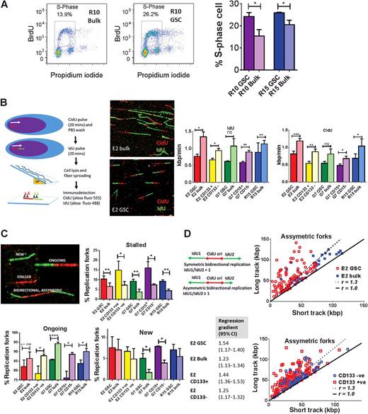 Replication Stress Drives Constitutive Activation of the DNA Damage ...