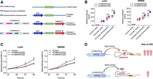 A Rare Missense Variant in TCF7L2 Associates with Colorectal Cancer ...