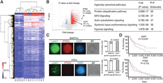 Targeting USP7 Identifies a Metastasis-Competent State within Bone ...