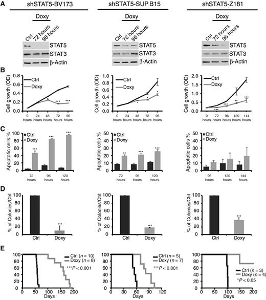 Targeting STAT5 or STAT5-Regulated Pathways Suppresses Leukemogenesis ...