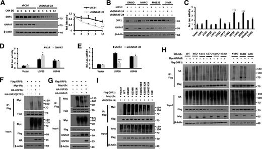 Amplification of Glyceronephosphate O-Acyltransferase and Recruitment ...