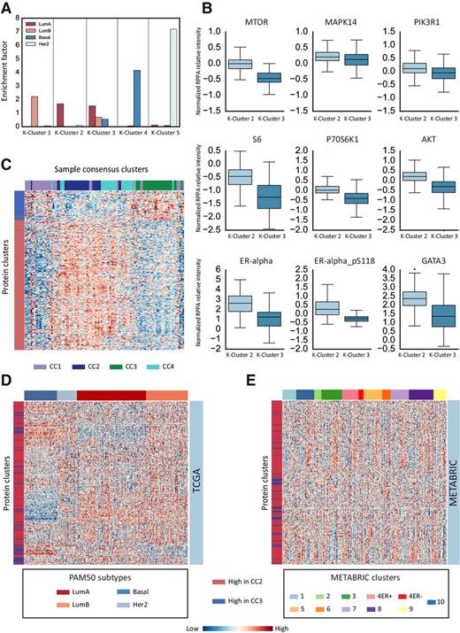 Clinical Proteomics Of Breast Cancer Reveals A Novel Layer Of Breast
