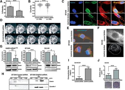 Emerin Deregulation Links Nuclear Shape Instability to Metastatic ...