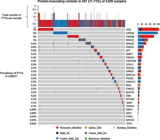 Differential Burden of Rare and Common Variants on Tumor ...