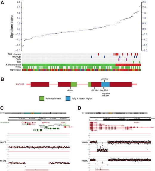 RAS–MAPK Pathway-Driven Tumor Progression Is Associated with Loss of ...