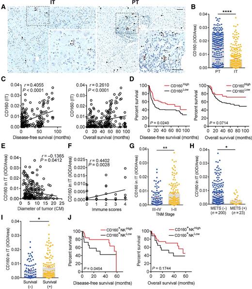 Reduced CD160 Expression Contributes to Impaired NK-cell Function and ...