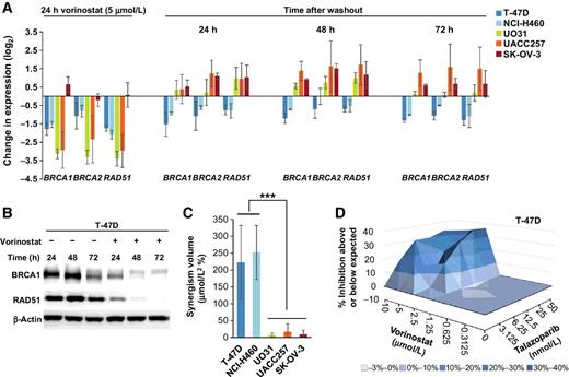 The NCI Transcriptional Pharmacodynamics Workbench: A Tool to Examine ...