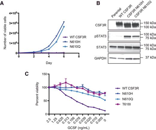 A Novel Germline Variant in CSF3R Reduces N-Glycosylation and Exerts ...