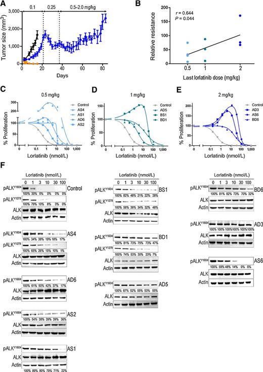Lorlatinib Treatment Elicits Multiple On- and Off-Target Mechanisms of ...