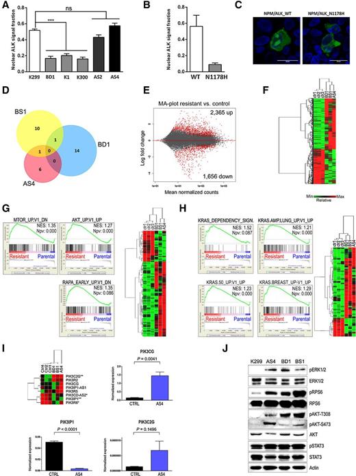 Lorlatinib Treatment Elicits Multiple On- and Off-Target Mechanisms of ...