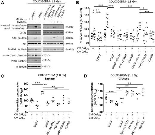 Radiotherapy-Activated Cancer-Associated Fibroblasts Promote Tumor ...