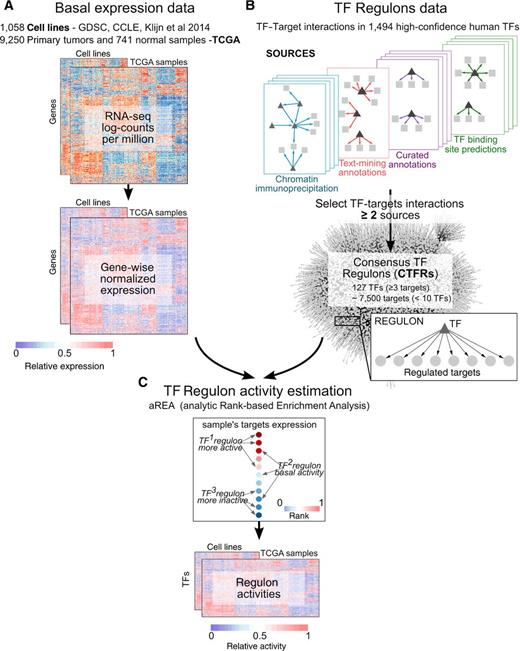Transcription Factor Activities Enhance Markers of Drug Sensitivity in ...
