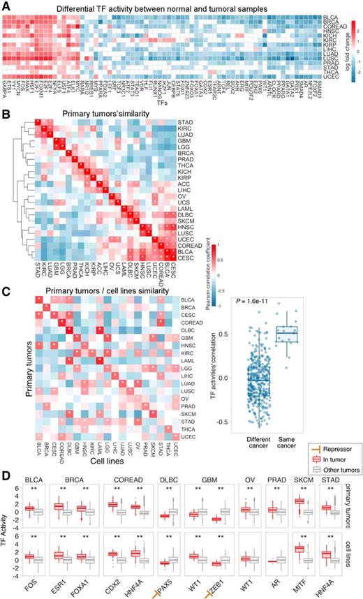 Transcription Factor Activities Enhance Markers of Drug Sensitivity in ...