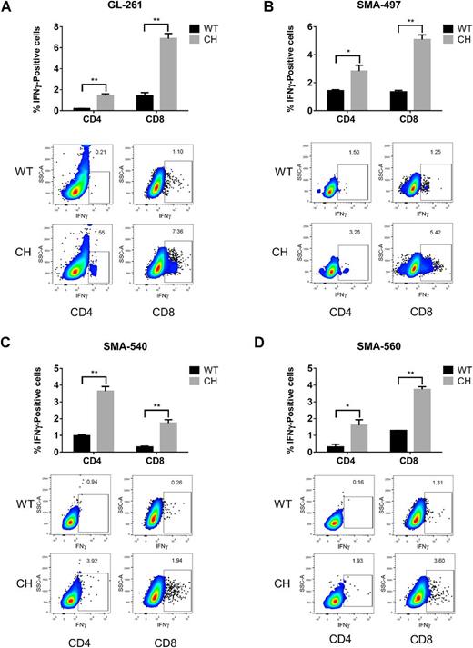 NKG2D-Based CAR T Cells and Radiotherapy Exert Synergistic Efficacy in ...