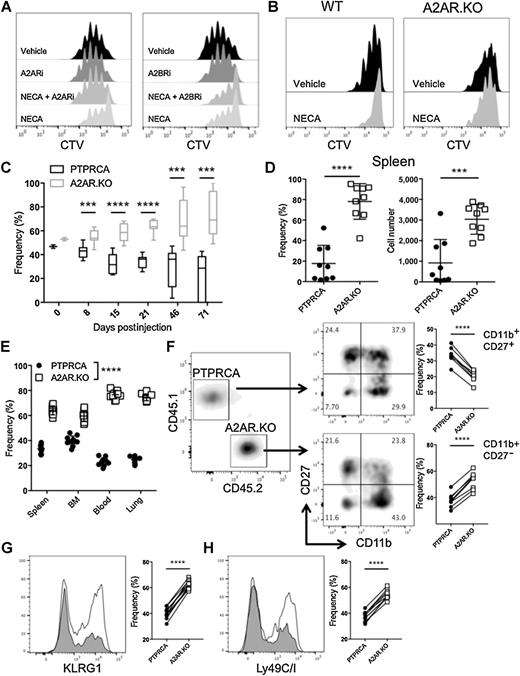 A2AR Adenosine Signaling Suppresses Natural Killer Cell Maturation in ...