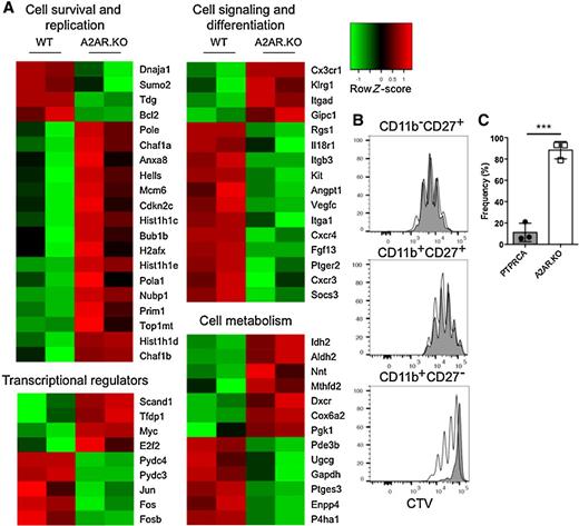 A2AR Adenosine Signaling Suppresses Natural Killer Cell Maturation in ...
