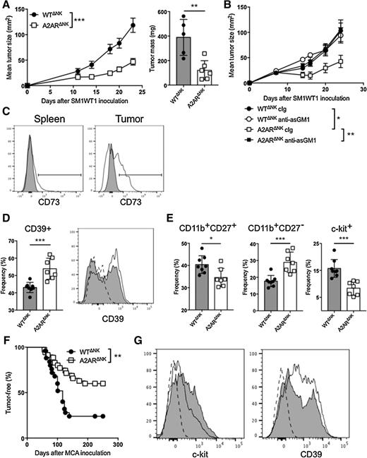 A2AR Adenosine Signaling Suppresses Natural Killer Cell Maturation in ...