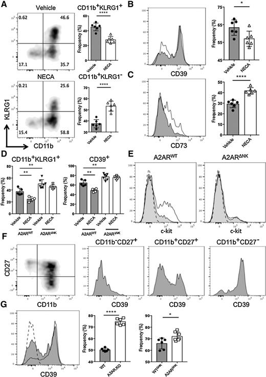 A2AR Adenosine Signaling Suppresses Natural Killer Cell Maturation in ...