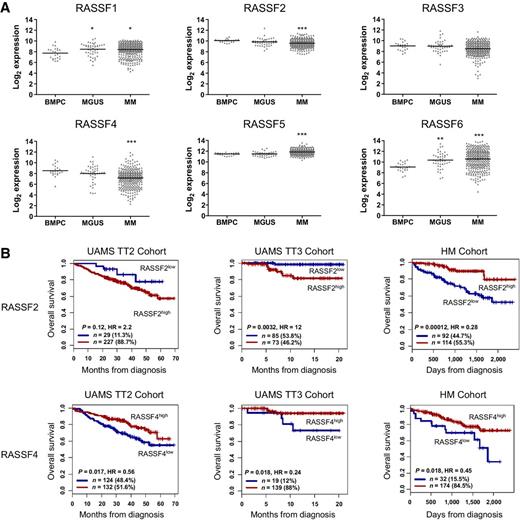 Loss of RASSF4 Expression in Multiple Myeloma Promotes RAS-Driven ...