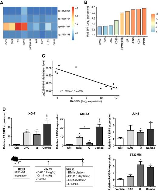 Loss of RASSF4 Expression in Multiple Myeloma Promotes RAS-Driven ...