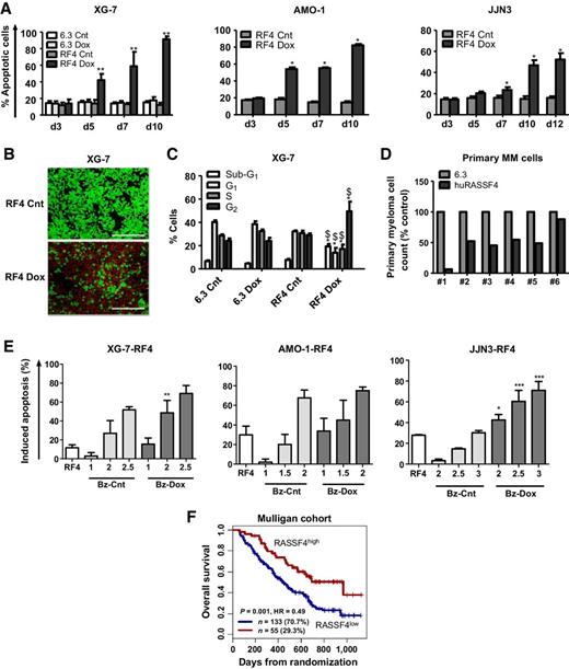 Loss of RASSF4 Expression in Multiple Myeloma Promotes RAS-Driven ...