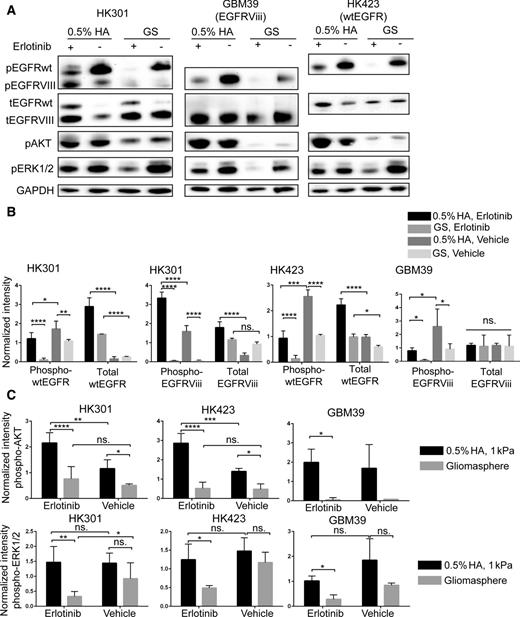 Brain-Mimetic 3D Culture Platforms Allow Investigation of Cooperative ...