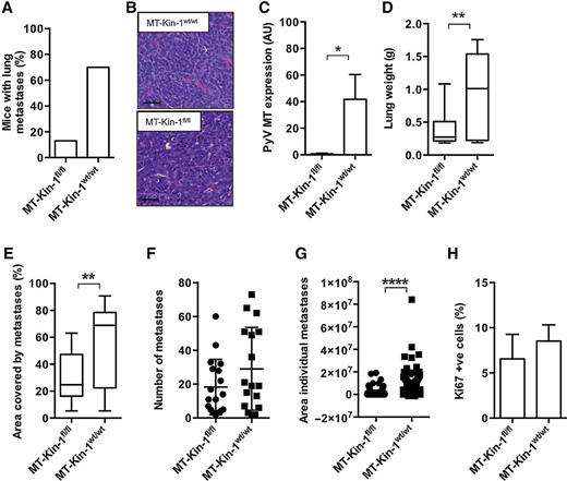 Kindlin-1 Promotes Pulmonary Breast Cancer Metastasis | Cancer Research ...