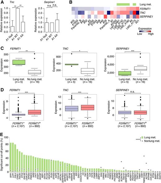 Kindlin-1 Promotes Pulmonary Breast Cancer Metastasis | Cancer Research ...