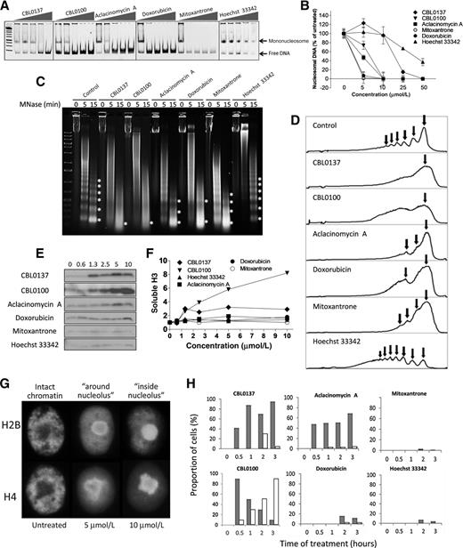 Role of Chromatin Damage and Chromatin Trapping of FACT in Mediating ...
