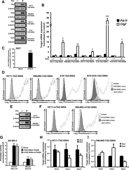 The Hippo Pathway Component TAZ Promotes Immune Evasion in Human Cancer ...