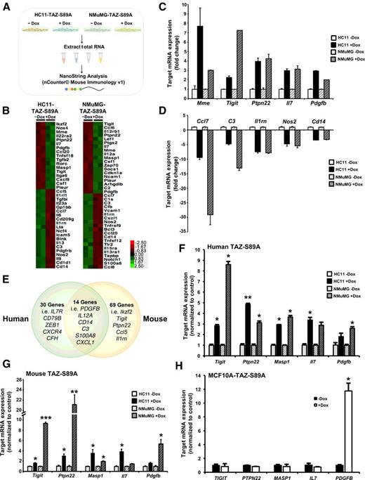 The Hippo Pathway Component TAZ Promotes Immune Evasion in Human Cancer ...