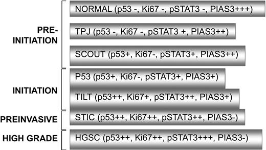 STAT3/PIAS3 Levels Serve as “Early Signature” Genes in the Development ...