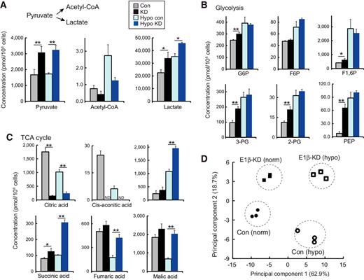 Pyruvate Dehydrogenase PDH-E1β Controls Tumor Progression by Altering ...