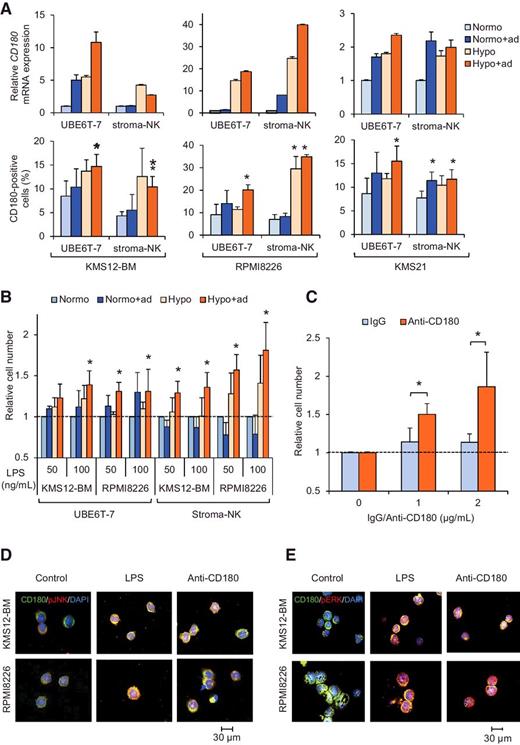 Myeloma Cells Are Activated in Bone Marrow Microenvironment by the ...