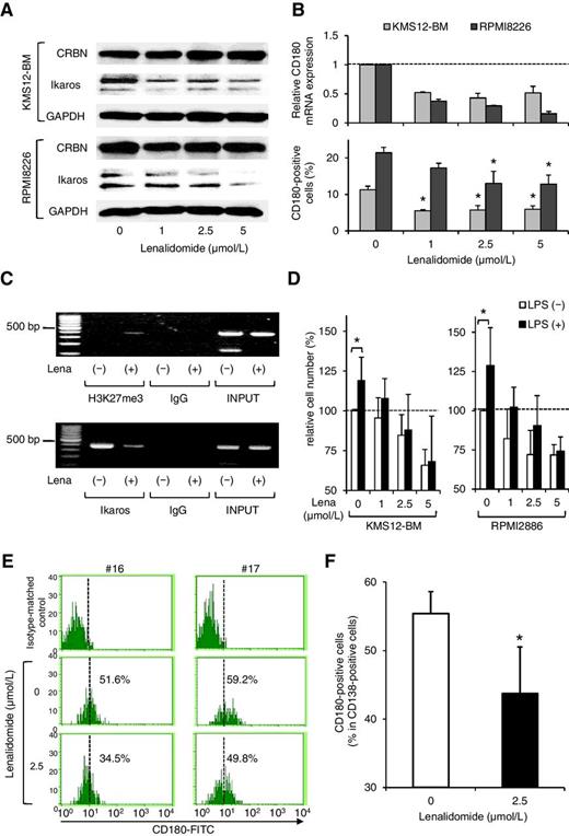 Myeloma Cells Are Activated in Bone Marrow Microenvironment by the ...
