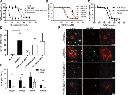 Modulation of Macropinocytosis-Mediated Internalization Decreases ...