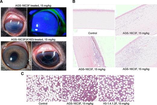 Modulation of Macropinocytosis-Mediated Internalization Decreases ...