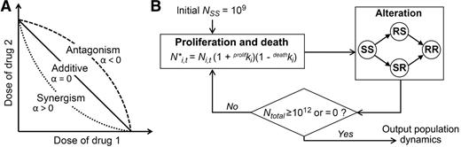Combination Therapy and the Evolution of Resistance: The Theoretical ...