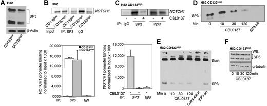 The FACT inhibitor CBL0137 Synergizes with Cisplatin in Small-Cell Lung ...